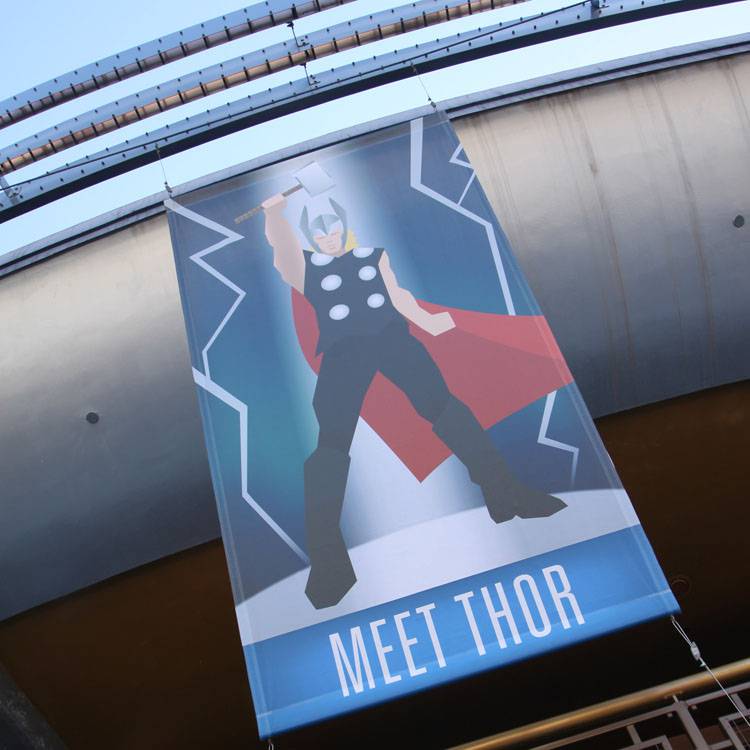 Thor: Treasures of Asgard : EndorExpress