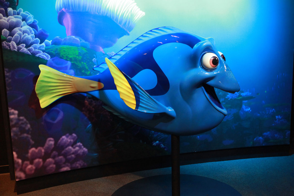 Science Behind Pixar Exhibition : EndorExpress