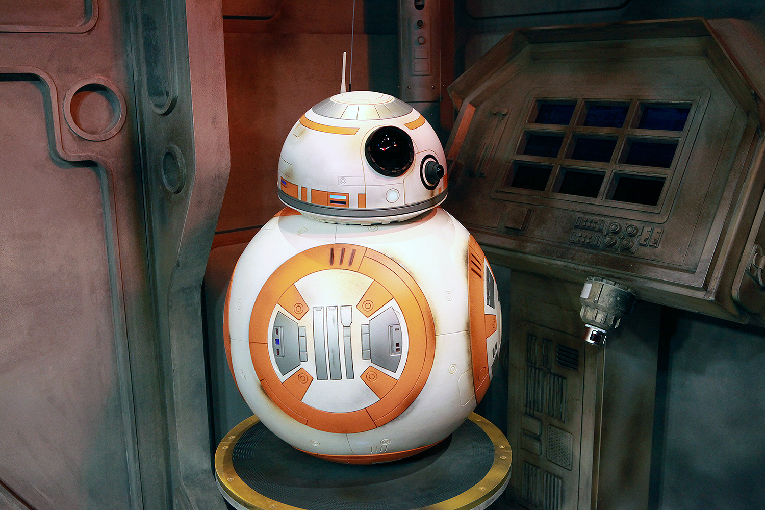 BB-8 Astromech On Duty at WDW : EndorExpress