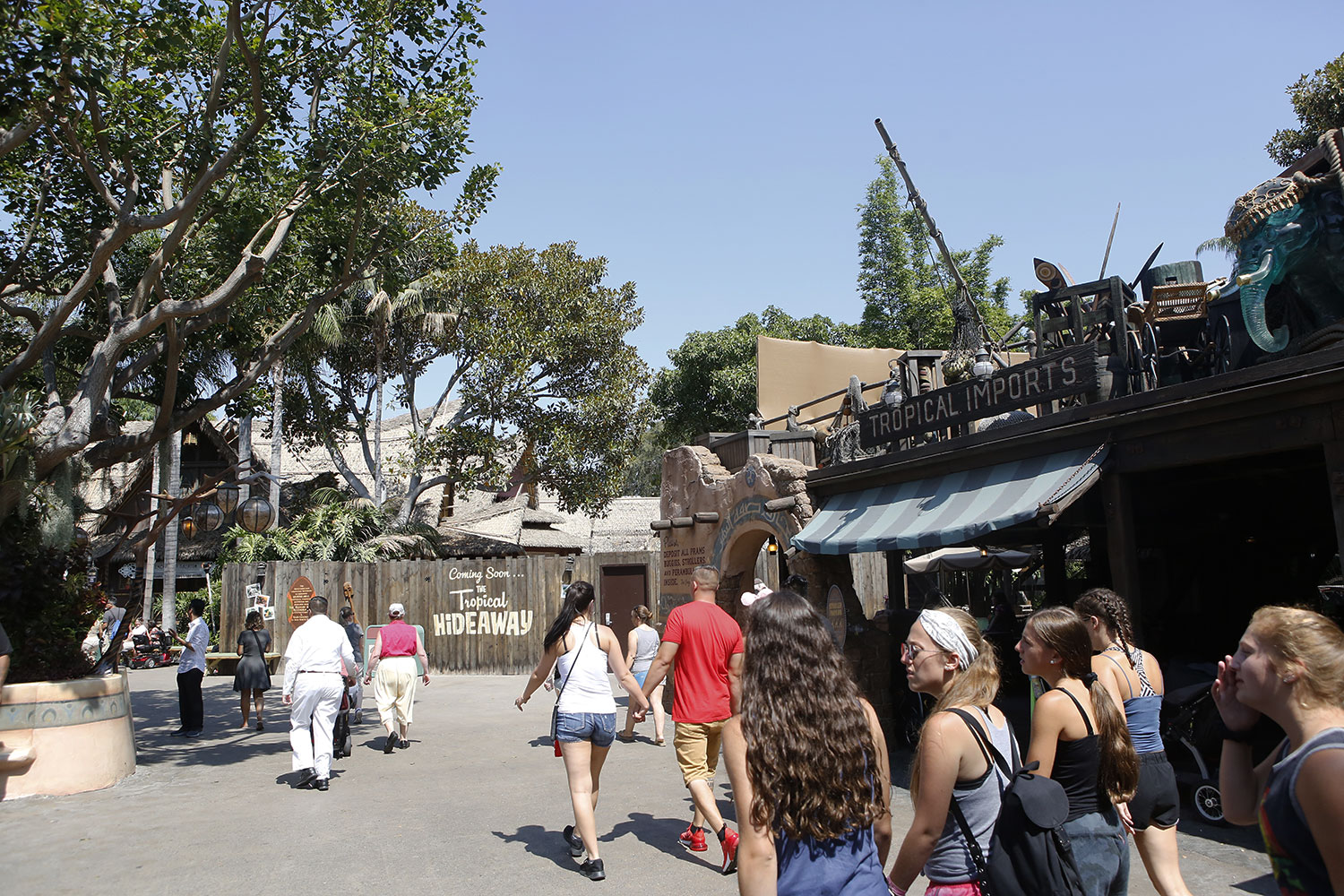 Tangaroa Terrace / Tropical Hideaway Update at Disneyland : EndorExpress