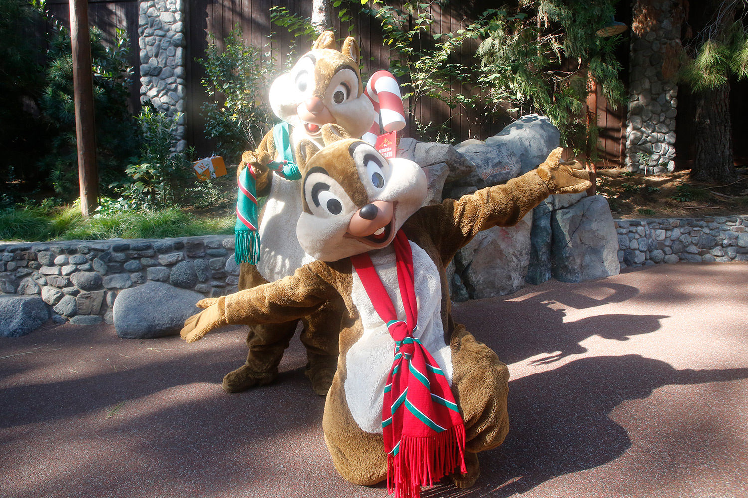 Photo Update: Disneyland Holidays : EndorExpress