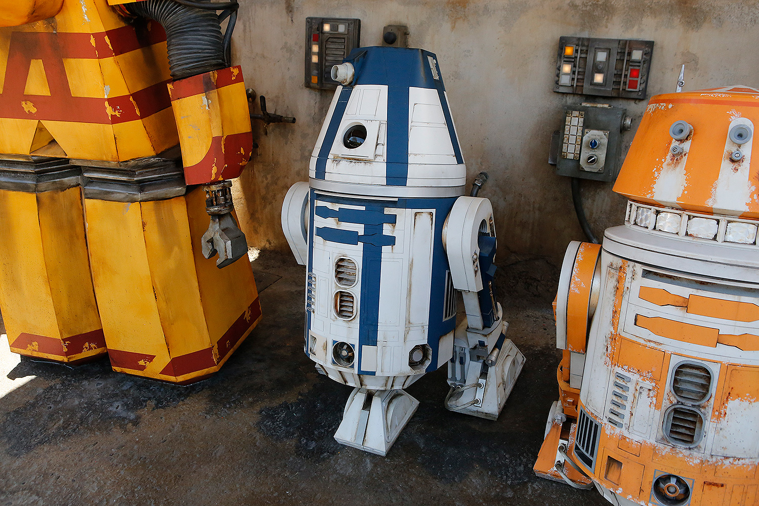 ALL of the Droids you’re Looking For at Galaxy’s Edge : EndorExpress