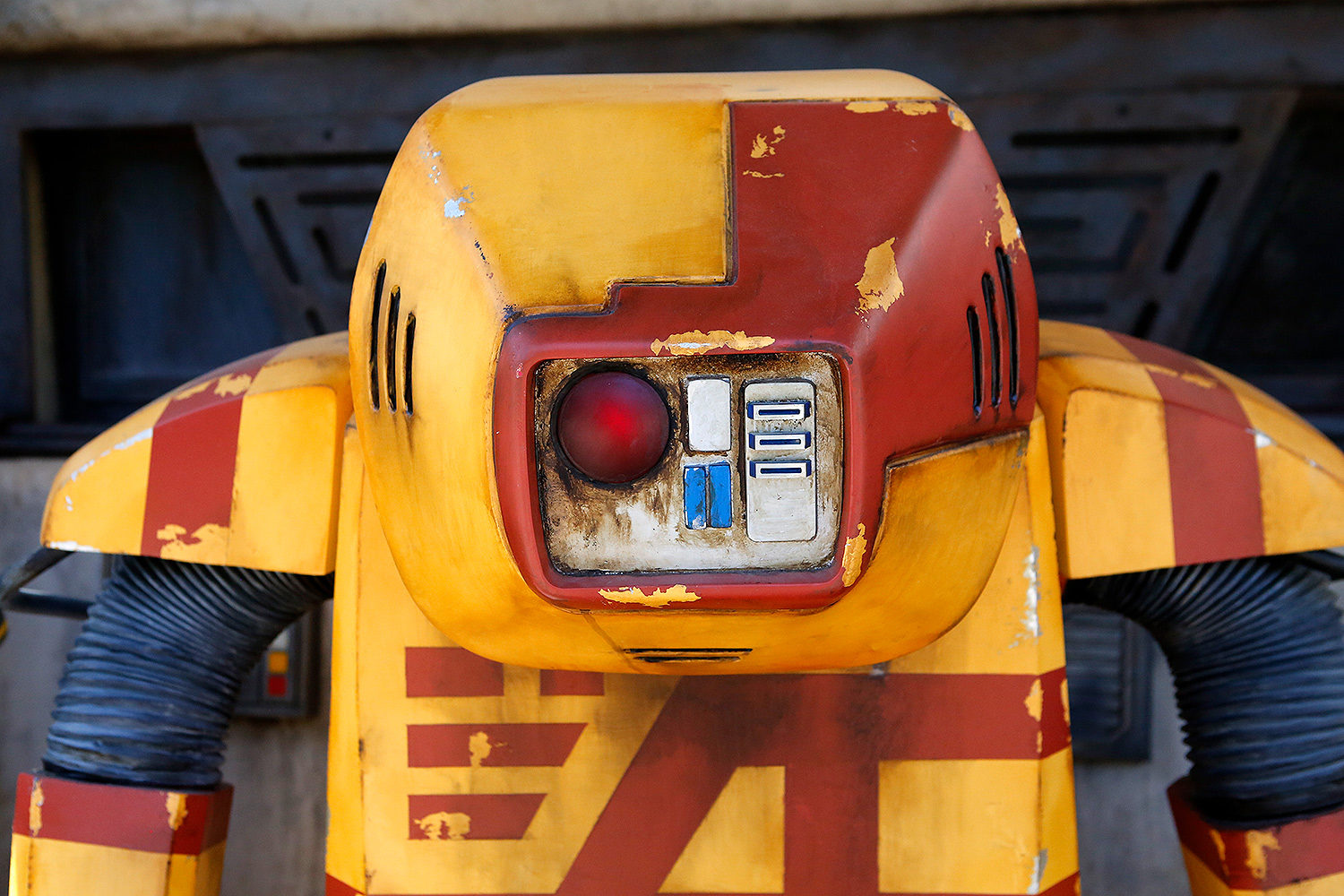 ALL of the Droids you’re Looking For at Galaxy’s Edge : EndorExpress