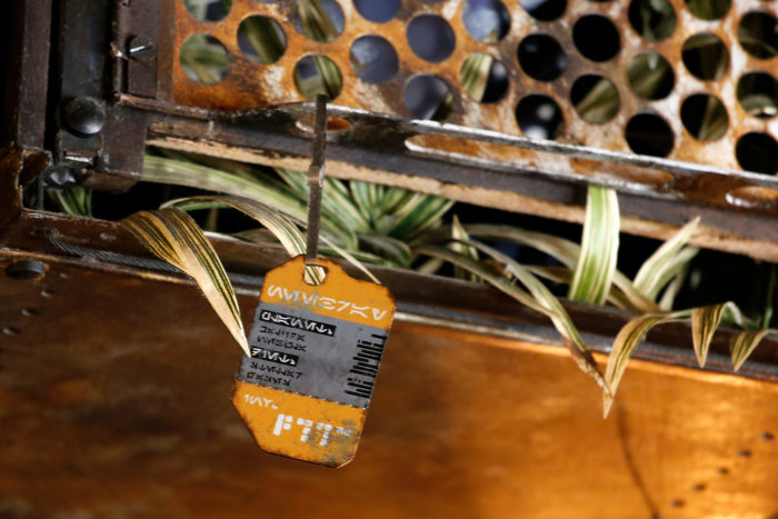 Hidden Creatures of the Creature Stall : EndorExpress