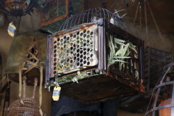 Hidden Creatures of the Creature Stall : EndorExpress