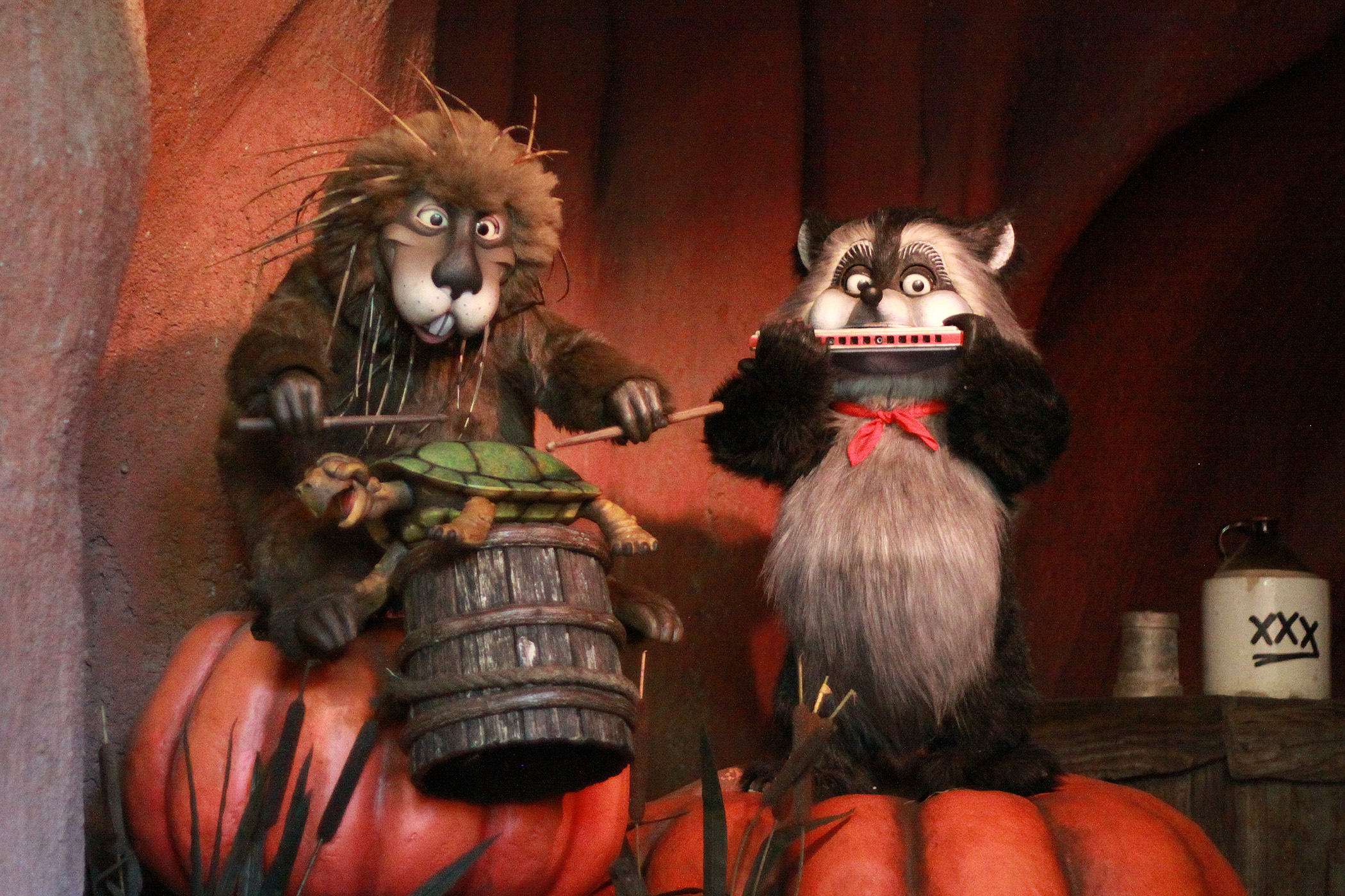 Splash Mountain: A Photo Essay : EndorExpress